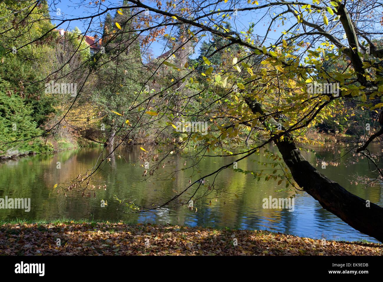 beautiful autumn landscape with colorful trees and a pond Stock Photo ...