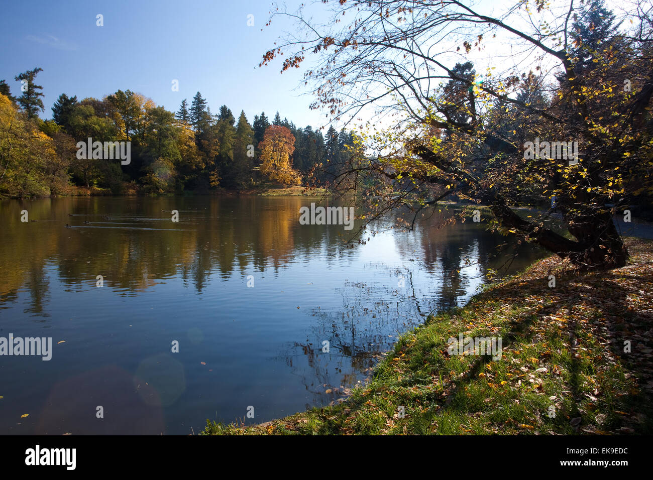 beautiful autumn landscape with colorful trees and a pond Stock Photo ...