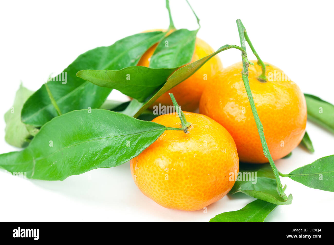 mandarin with green leaves isolated on white Stock Photo - Alamy