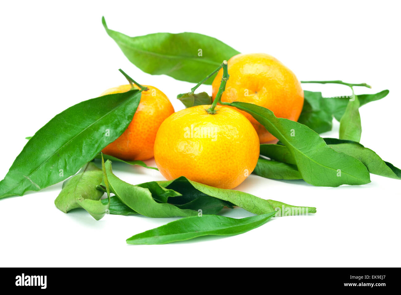 mandarin with green leaves isolated on white Stock Photo - Alamy