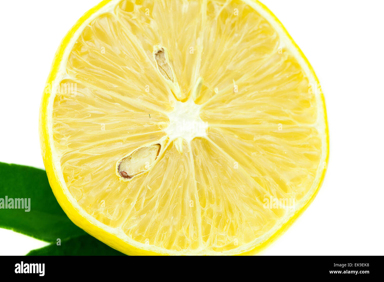 Lemon green leaf hi-res stock photography and images - Alamy