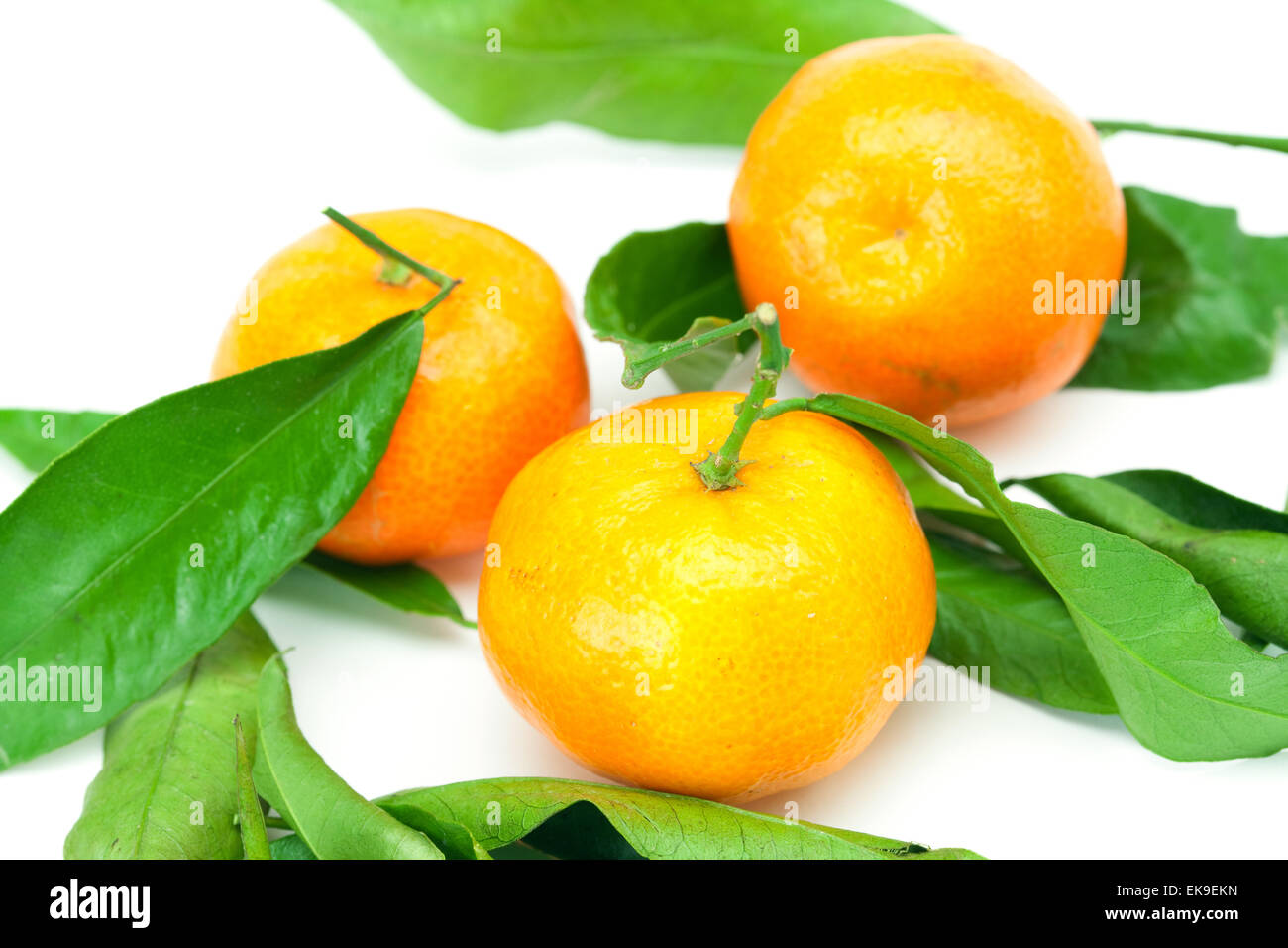 mandarin with green leaves isolated on white Stock Photo - Alamy