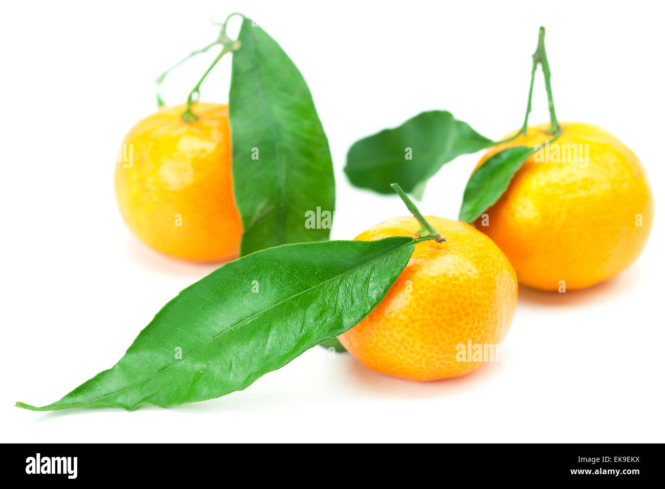 mandarin with green leaves isolated on white Stock Photo - Alamy
