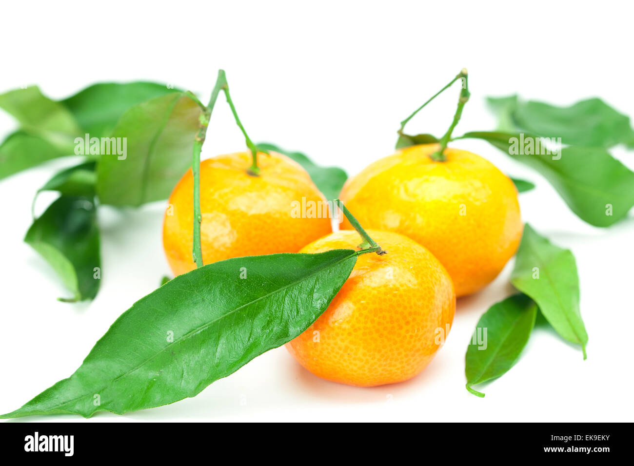 mandarin with green leaves isolated on white Stock Photo - Alamy