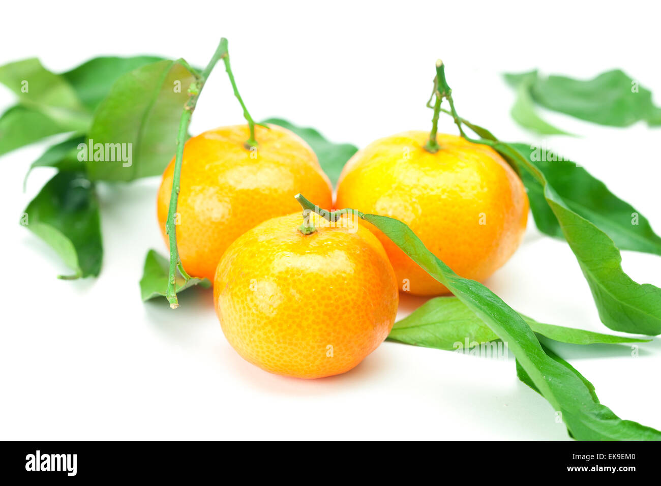 mandarin with green leaves isolated on white Stock Photo - Alamy