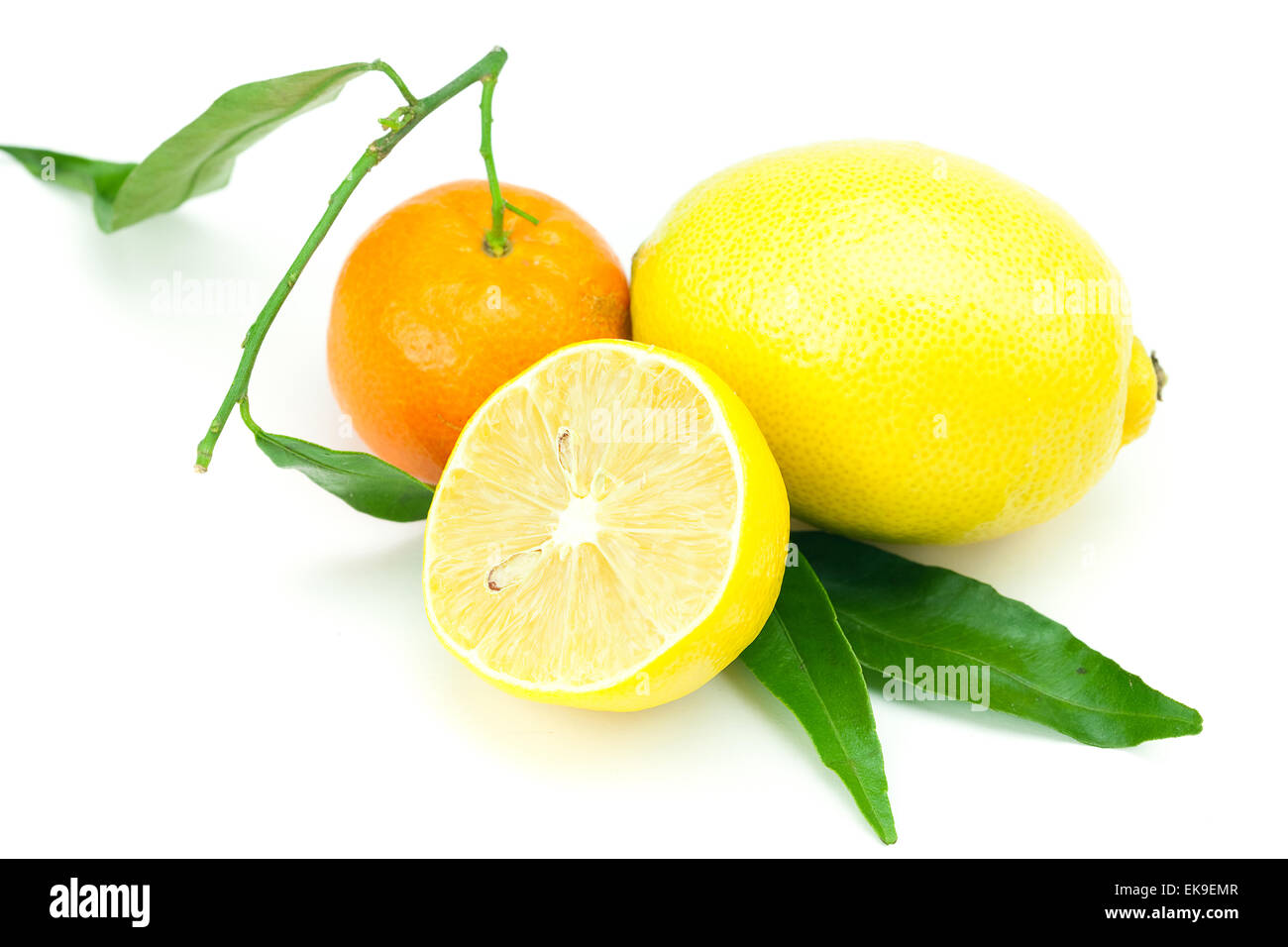 lemon and mandarin with green leaves isolated on white Stock Photo - Alamy