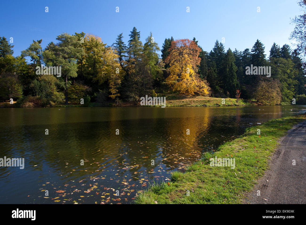beautiful autumn landscape with colorful trees and a pond Stock Photo ...