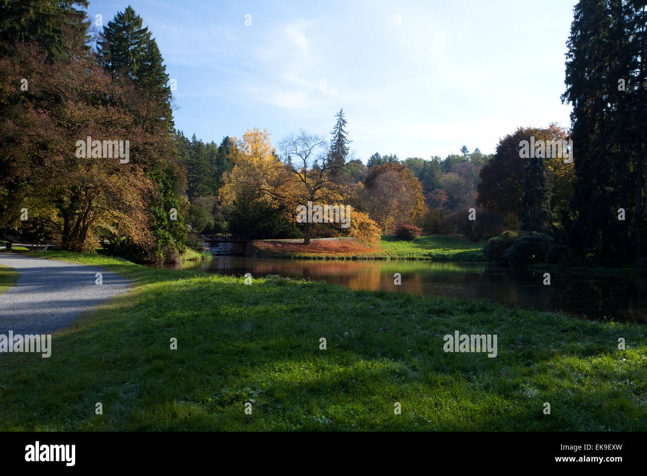 beautiful autumn landscape with colorful trees and a pond Stock Photo ...