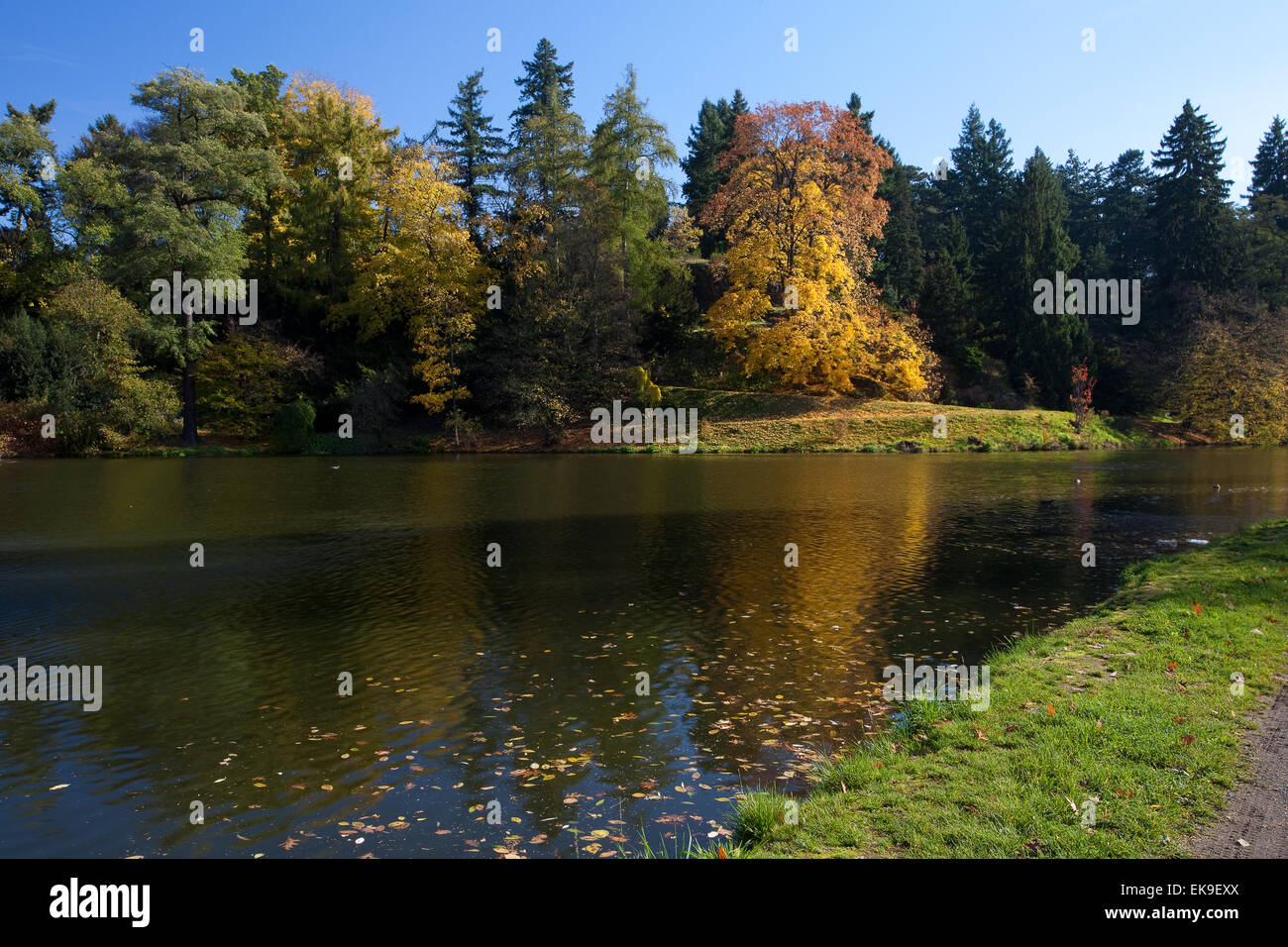 beautiful autumn landscape with colorful trees and a pond Stock Photo ...