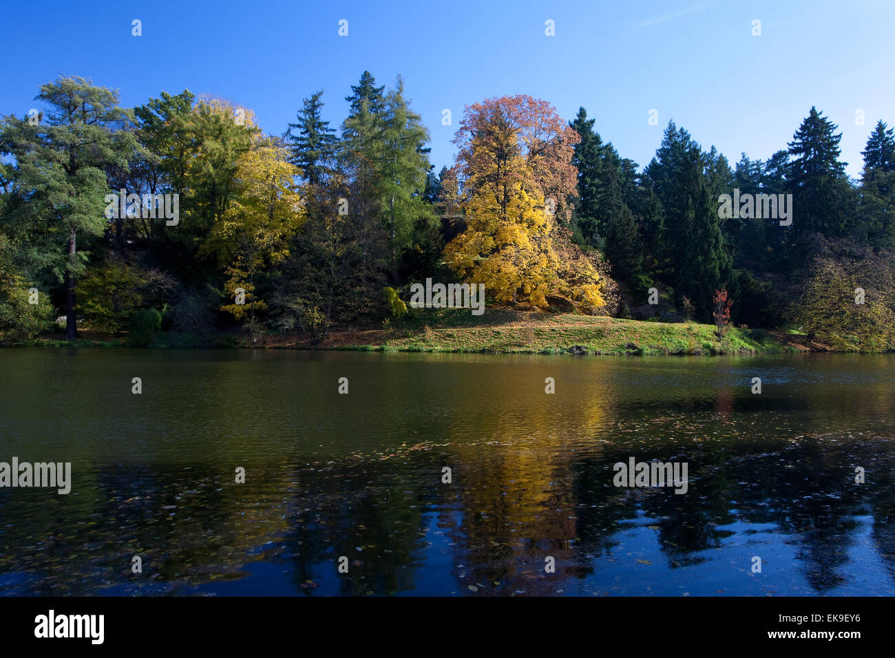 beautiful autumn landscape with colorful trees and a pond Stock Photo ...
