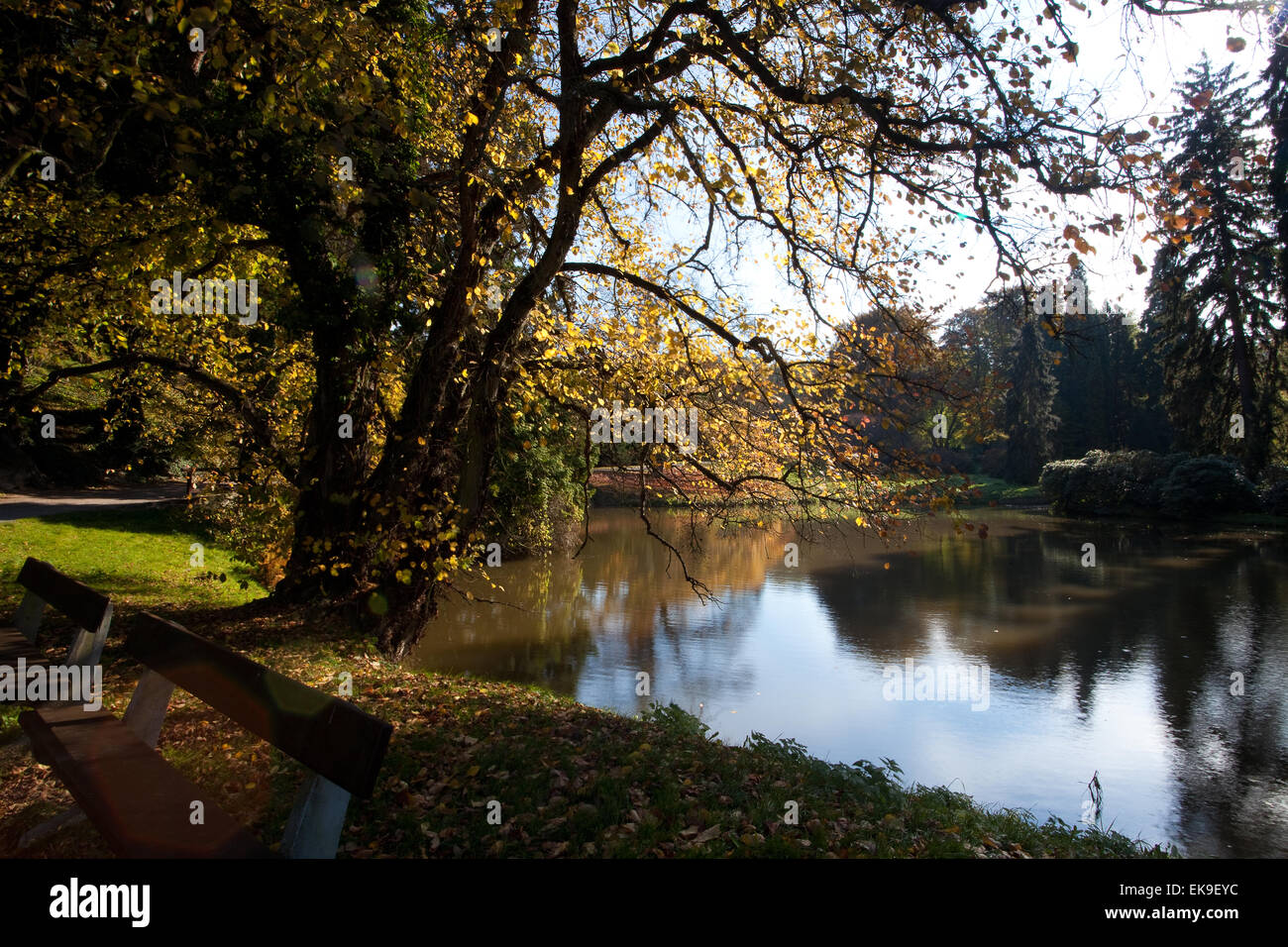 beautiful autumn landscape with colorful trees and a pond Stock Photo ...