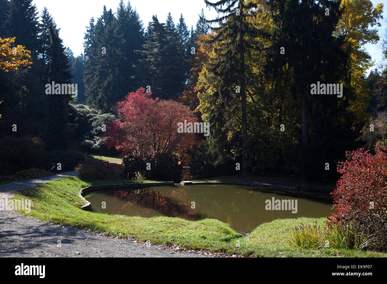 beautiful autumn landscape with colorful trees and a pond Stock Photo ...