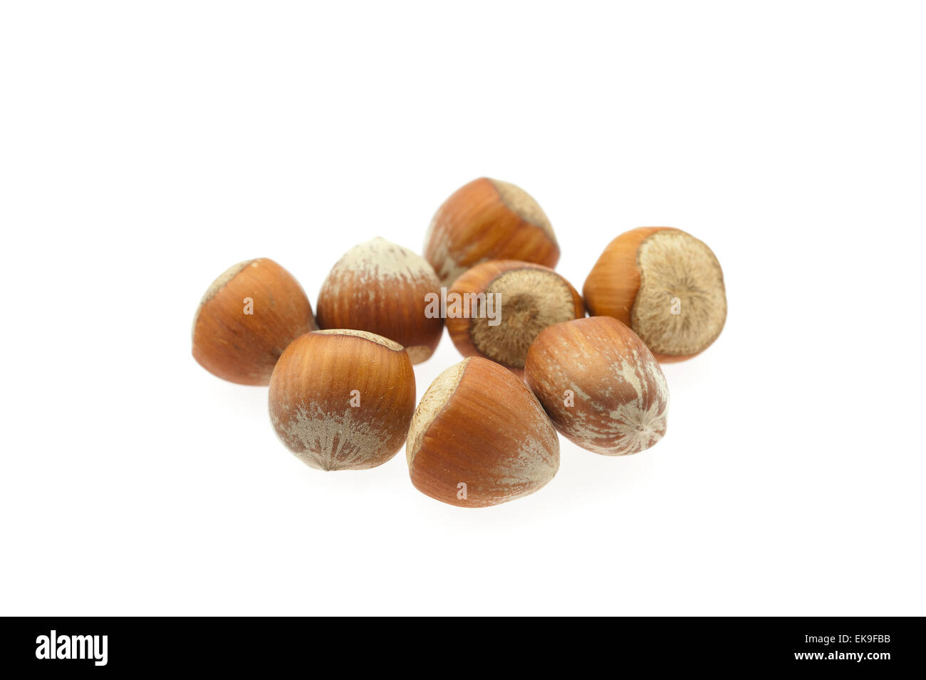 hazelnuts isolated on white Stock Photo - Alamy
