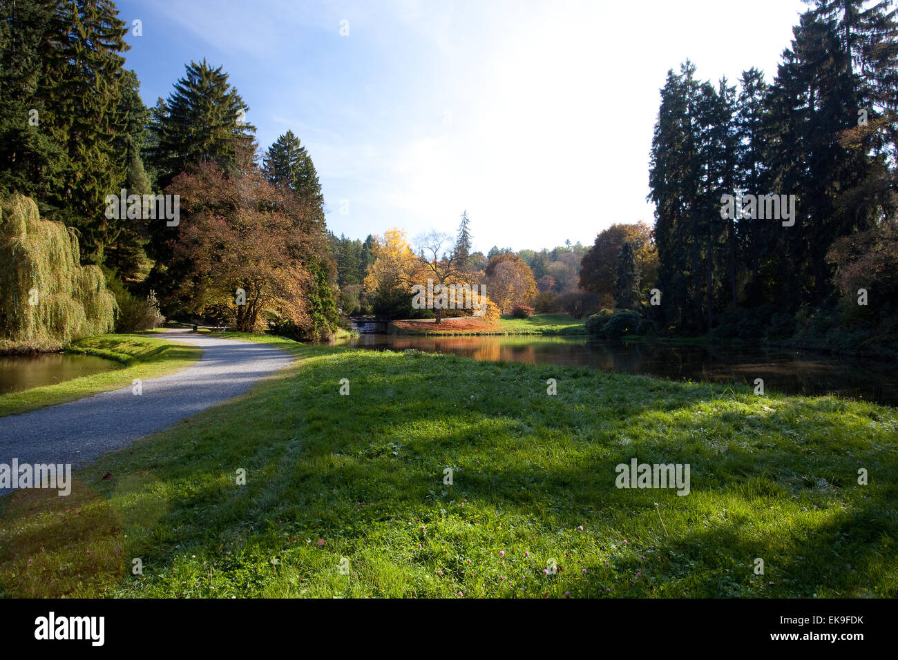 beautiful autumn landscape with colorful trees and a pond Stock Photo ...