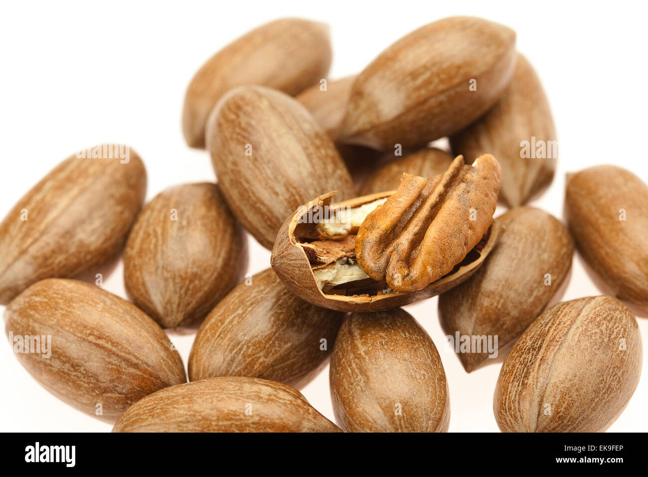 Pecan isolated on white Stock Photo - Alamy