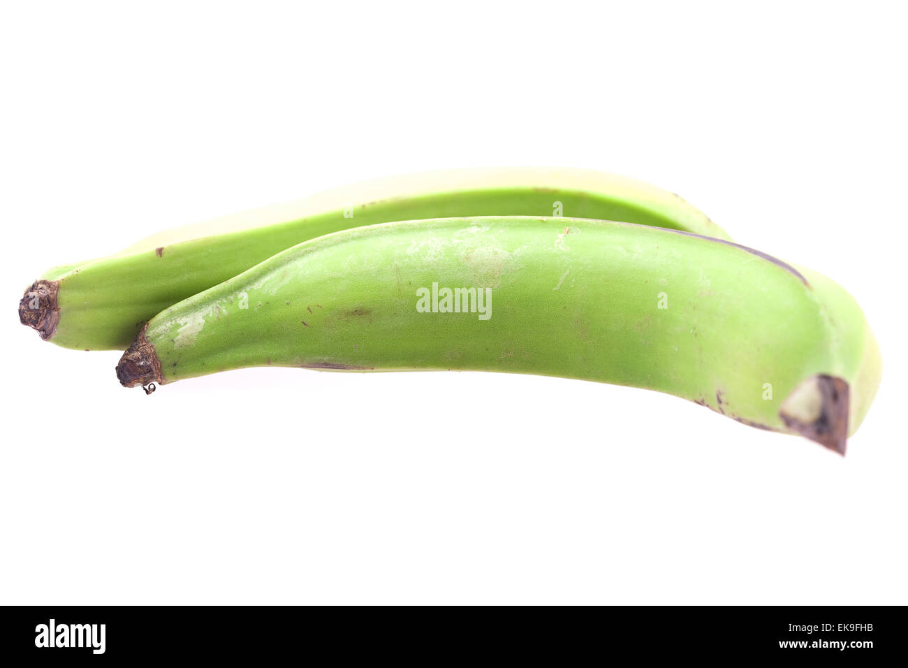a large green plantains isolated on white Stock Photo - Alamy