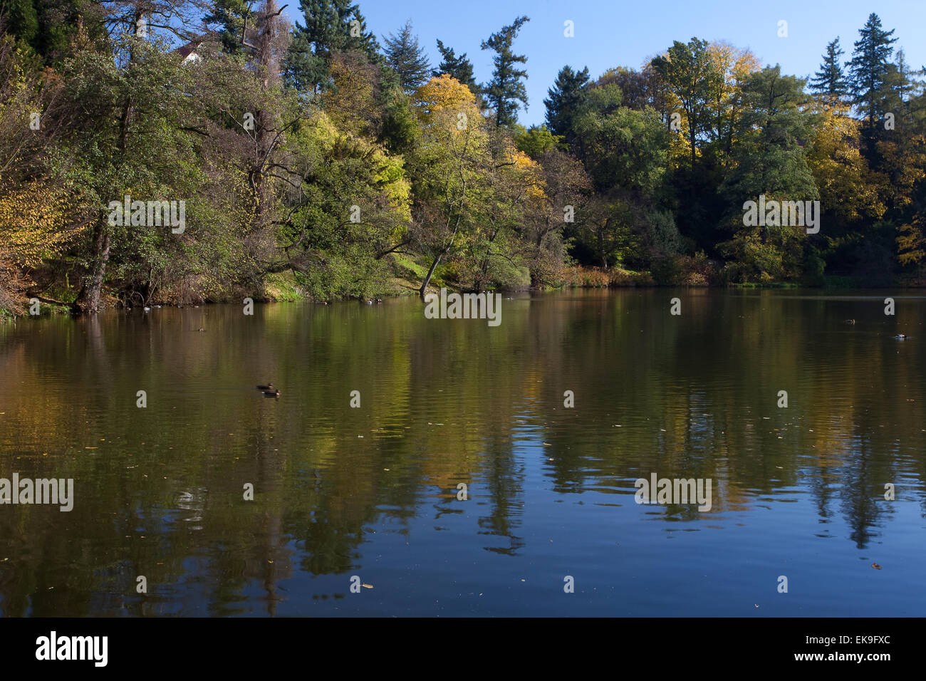 beautiful autumn landscape with colorful trees and a pond Stock Photo ...