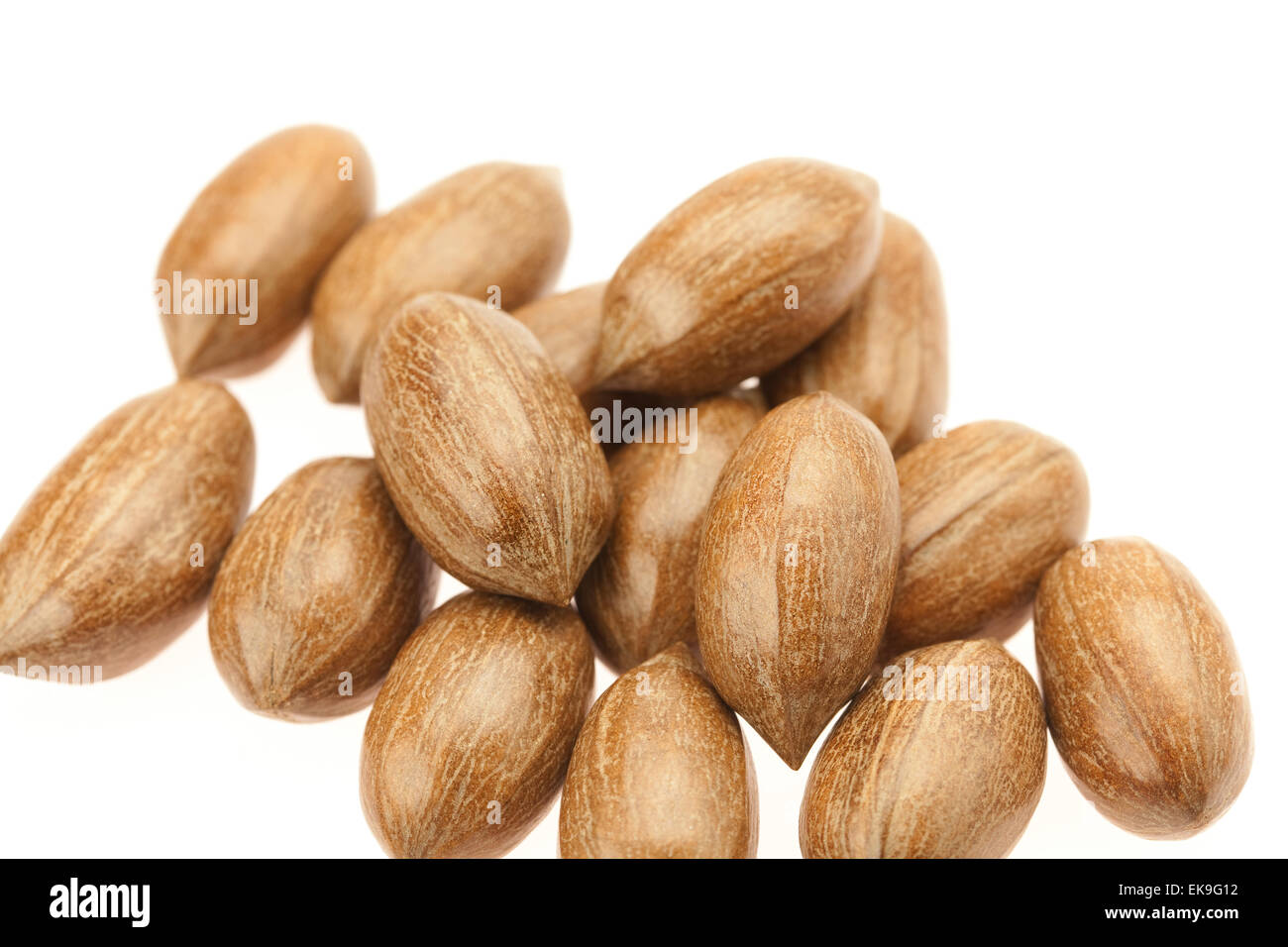 Pecan isolated on white Stock Photo - Alamy