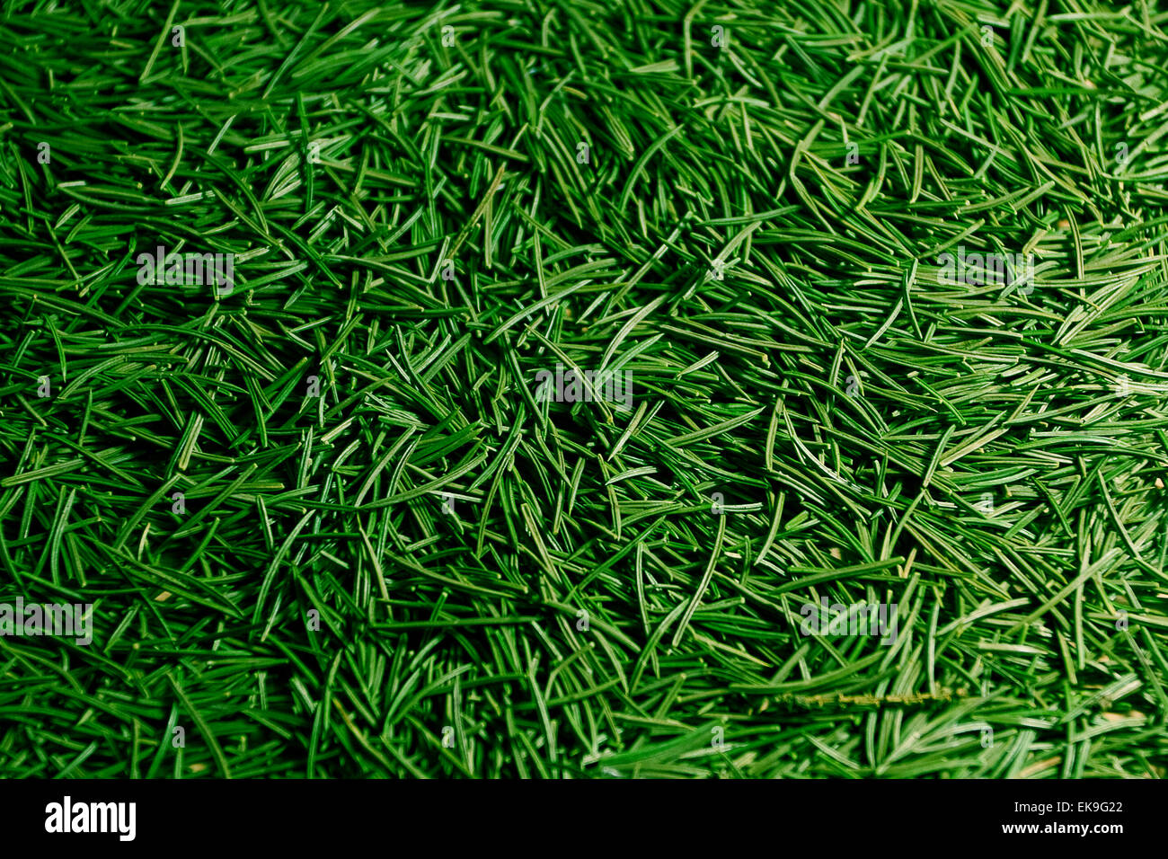 background of the Christmas tree needles lying on the floor Stock Photo ...