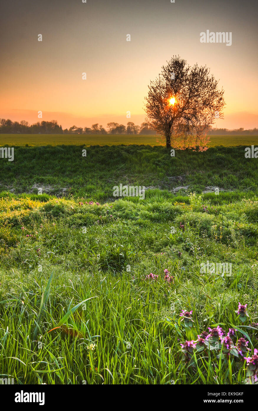 Lovely weather early summer hi-res stock photography and images - Alamy