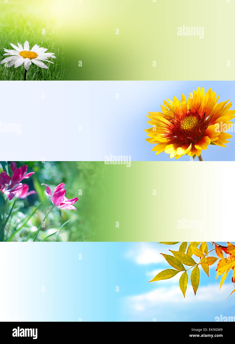 set of flower banners Stock Photo - Alamy