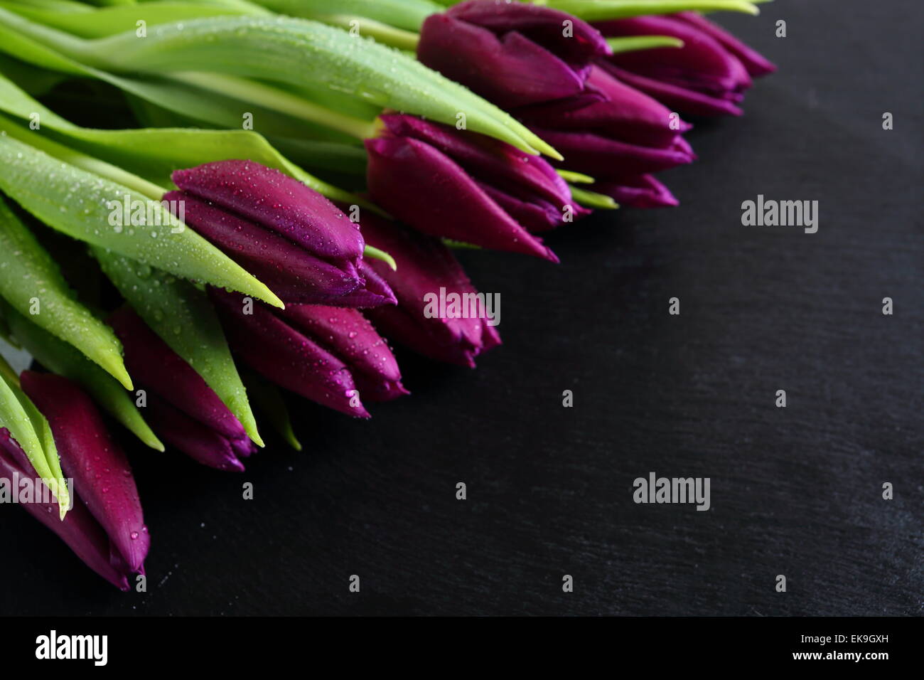 Dark slate purple flowers hi-res stock photography and images - Alamy