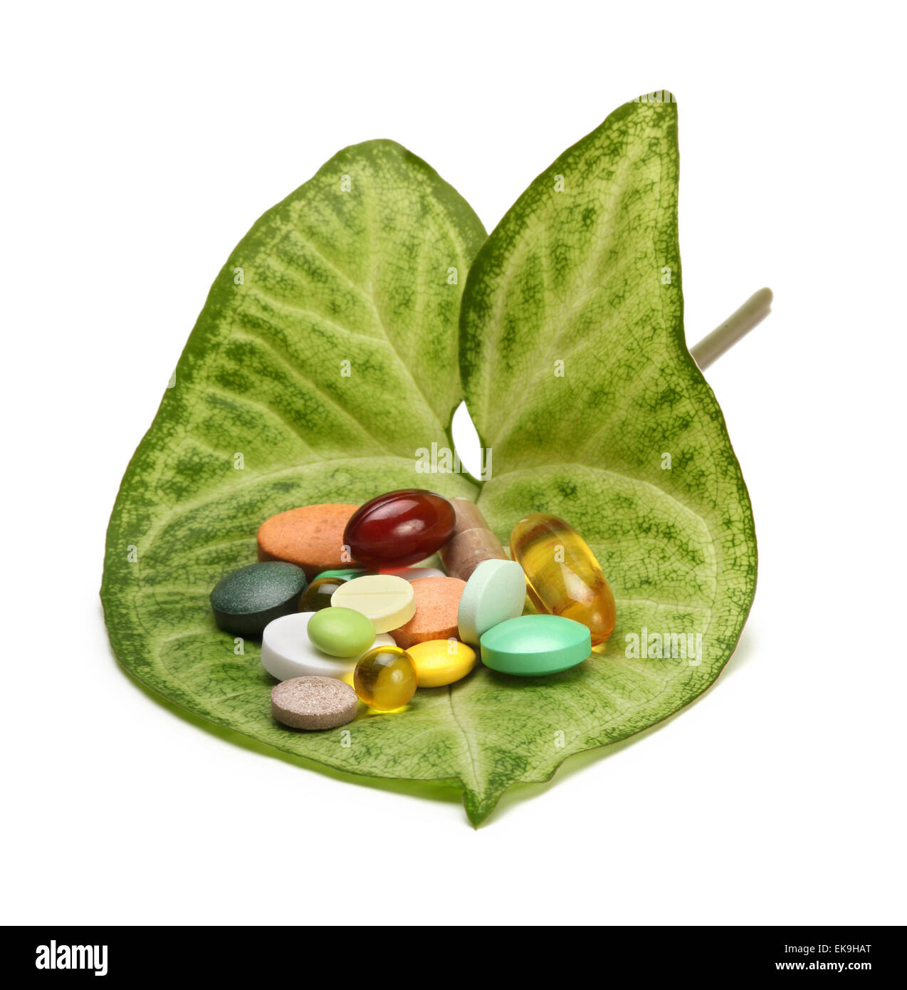 On green leaf hi-res stock photography and images - Alamy