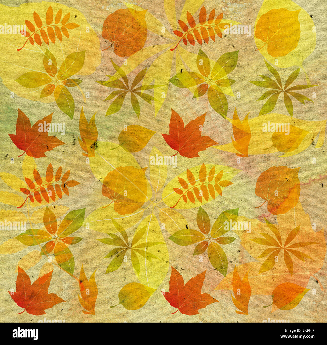 textured background with autumn leaf Stock Photo - Alamy