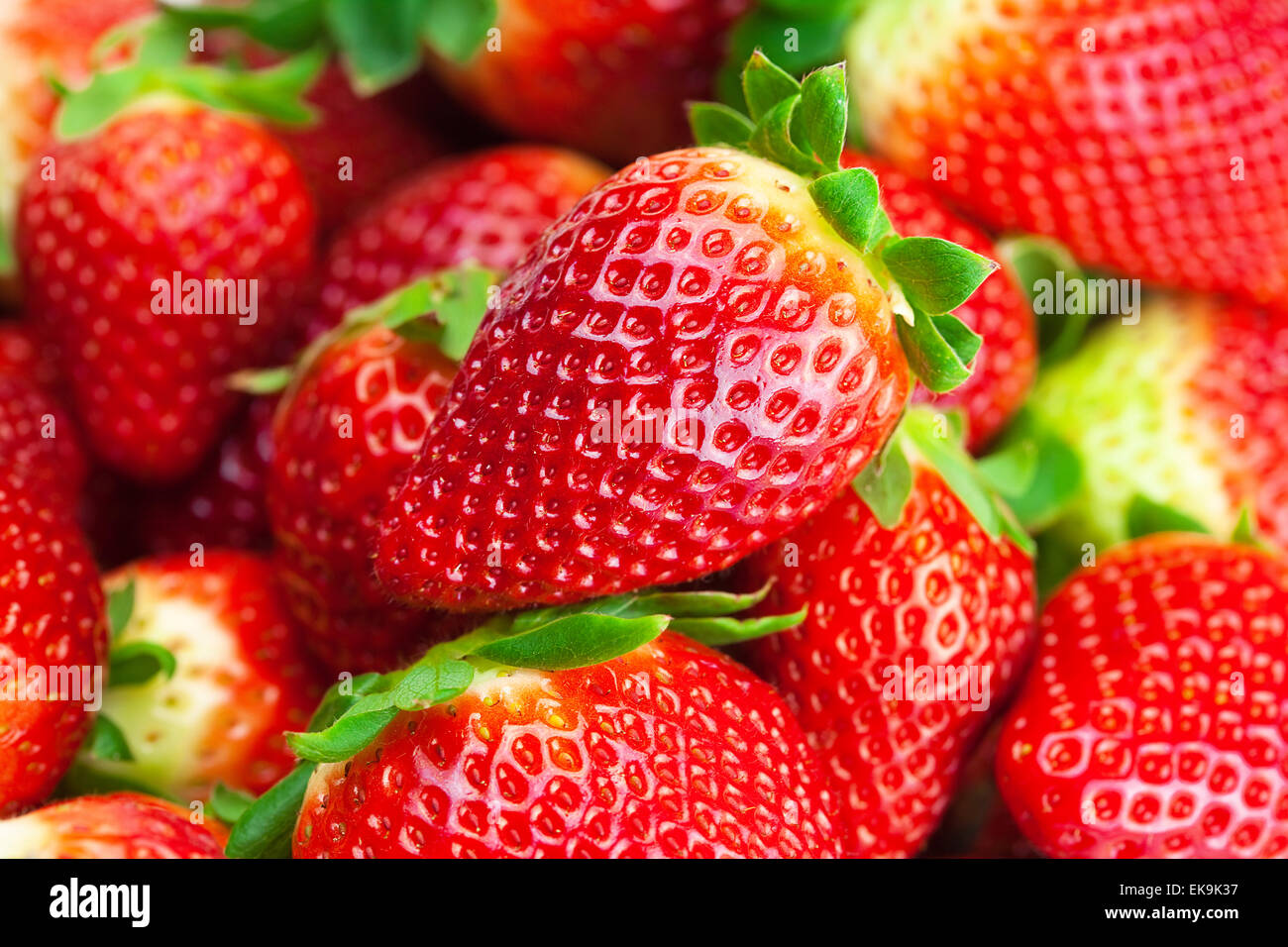 background of red big juicy ripe strawberries Stock Photo - Alamy