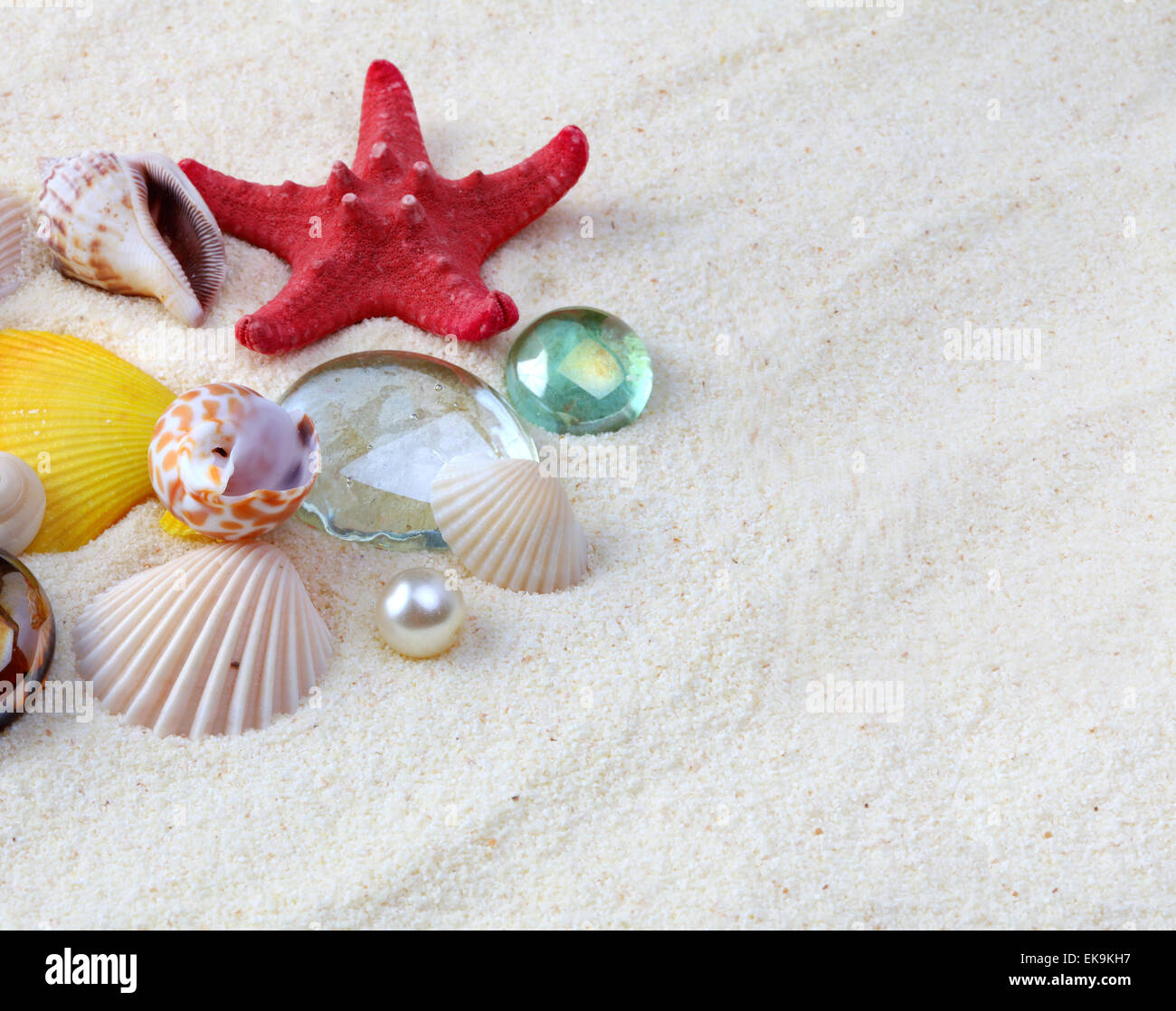 sea shells on sand Stock Photo - Alamy