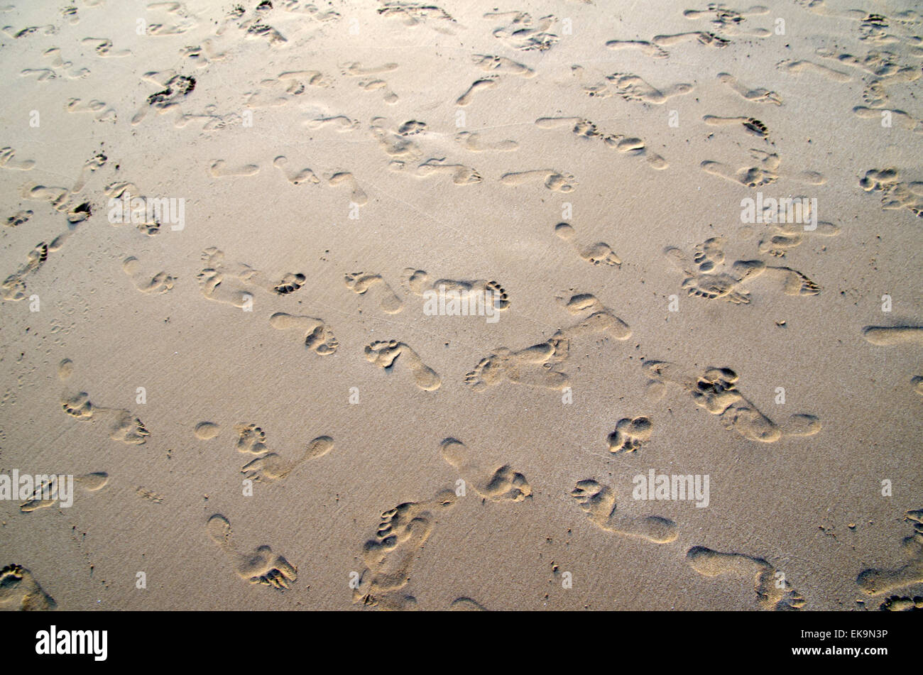 Sand particle hi-res stock photography and images - Alamy