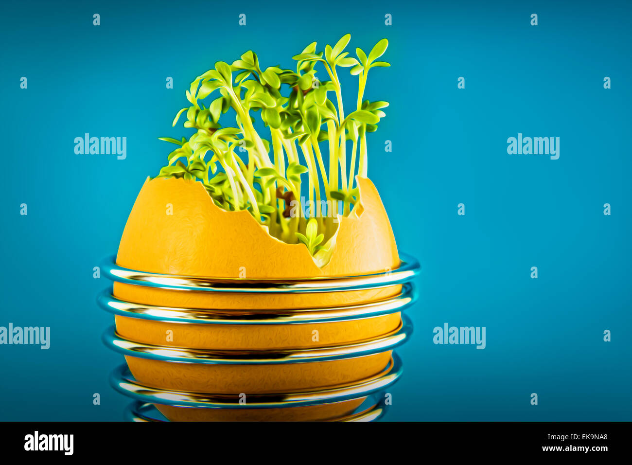 Egg cress shell hi-res stock photography and images - Alamy