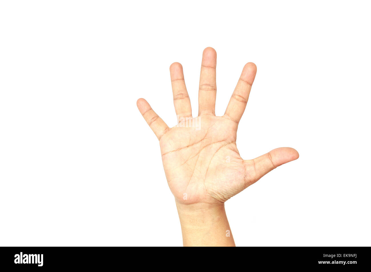 Hand isolated on white background Stock Photo - Alamy