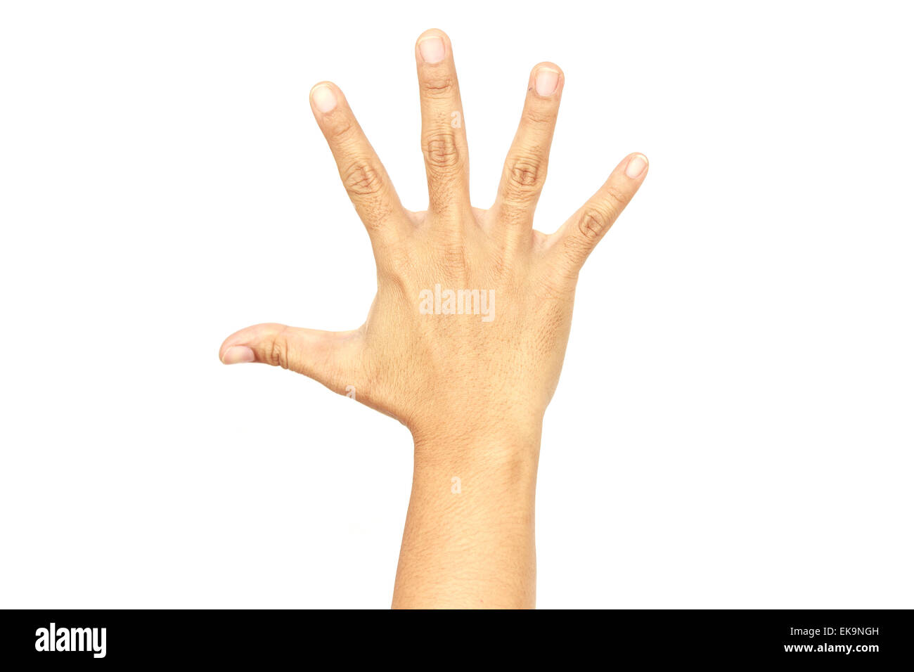 Hand isolated on white background Stock Photo - Alamy