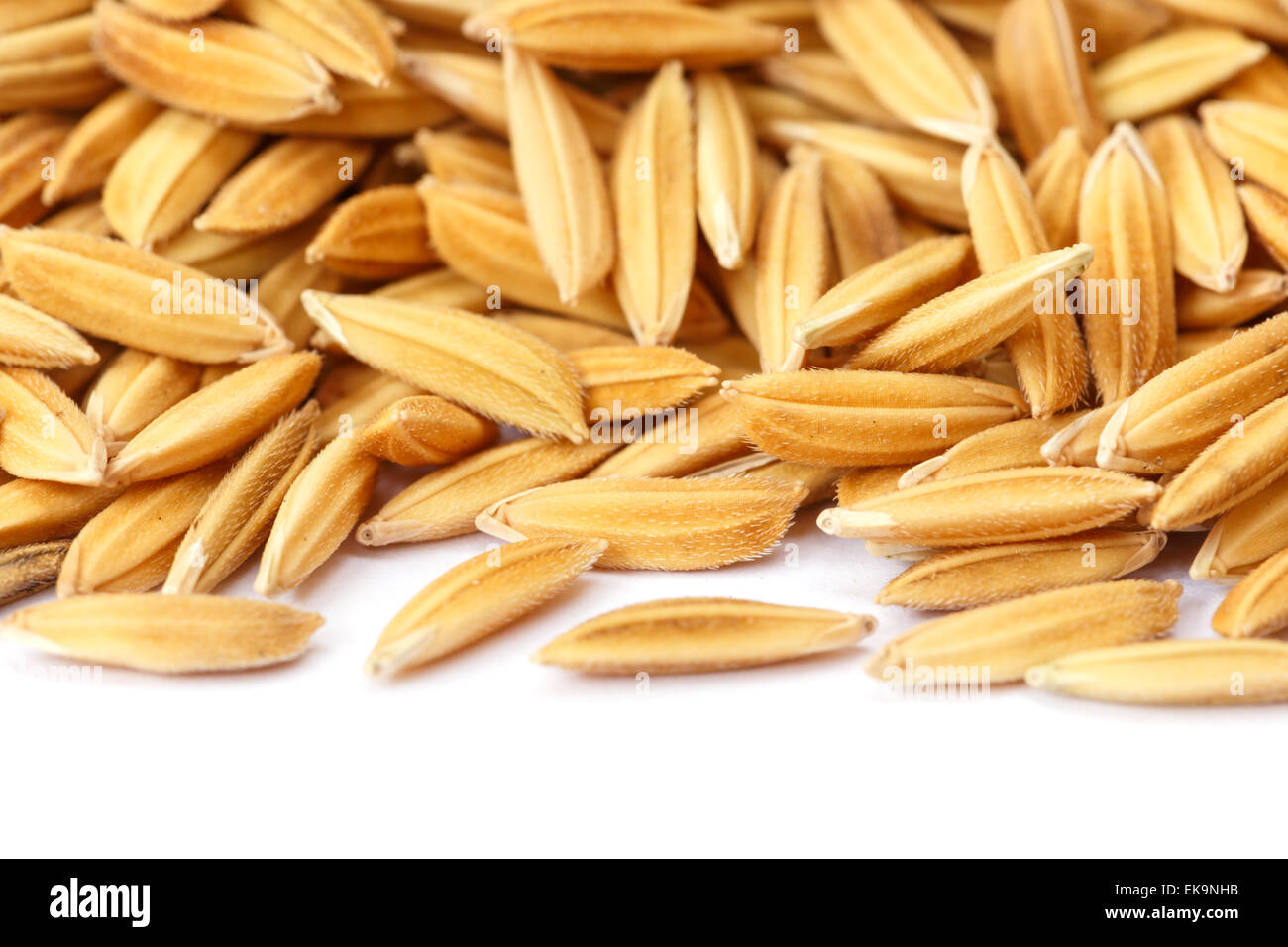 rice grains isolated on white background Stock Photo - Alamy