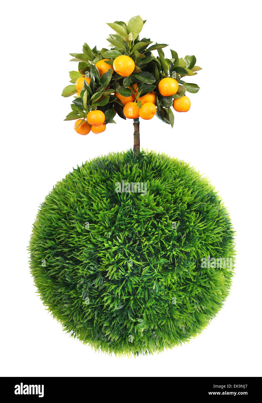 grass sphere and tree Stock Photo - Alamy