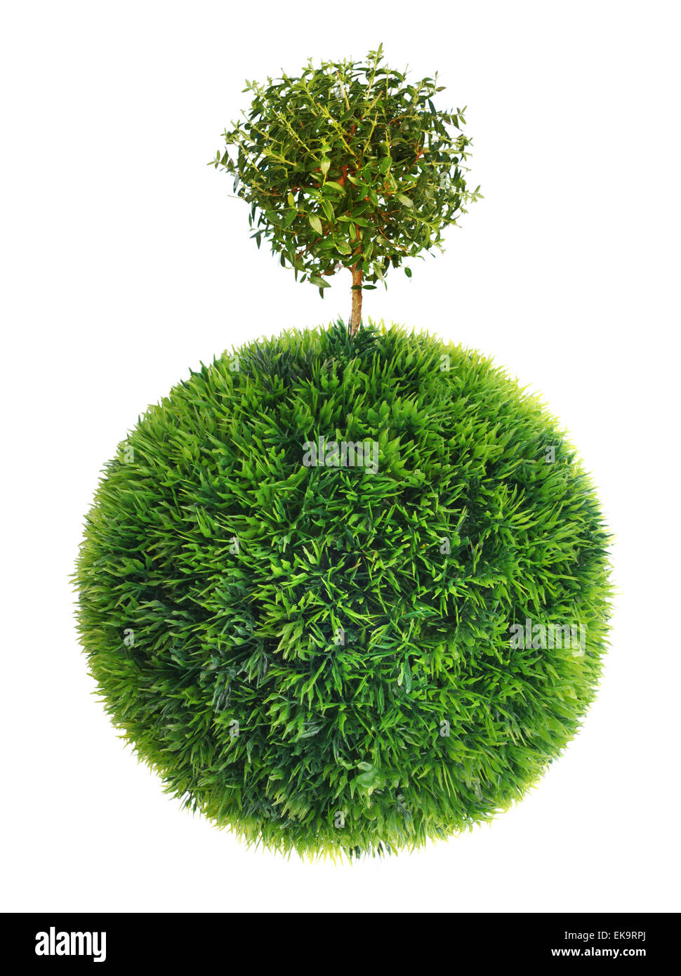 grass sphere and tree Stock Photo - Alamy