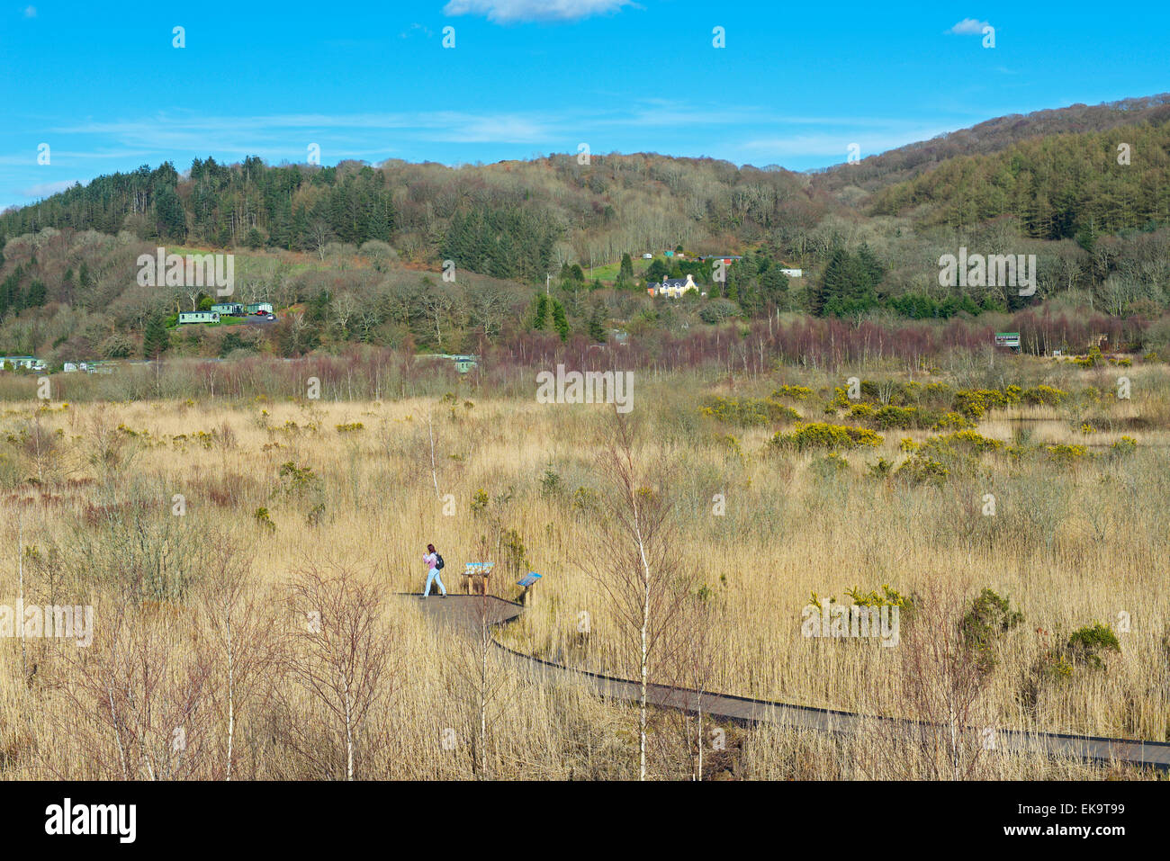 Cors dyfi wildlife reserve hi-res stock photography and images - Alamy