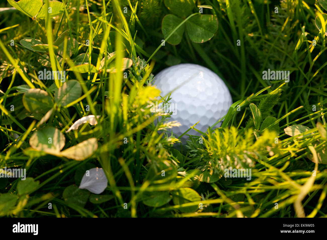 background of spring green grass and golf ball Stock Photo - Alamy