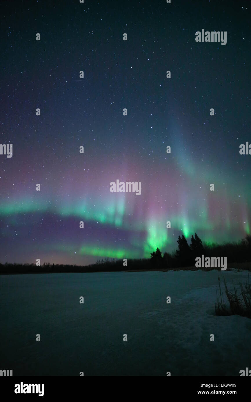 The green glow of the aurora borealis of northern Canada Stock Photo ...