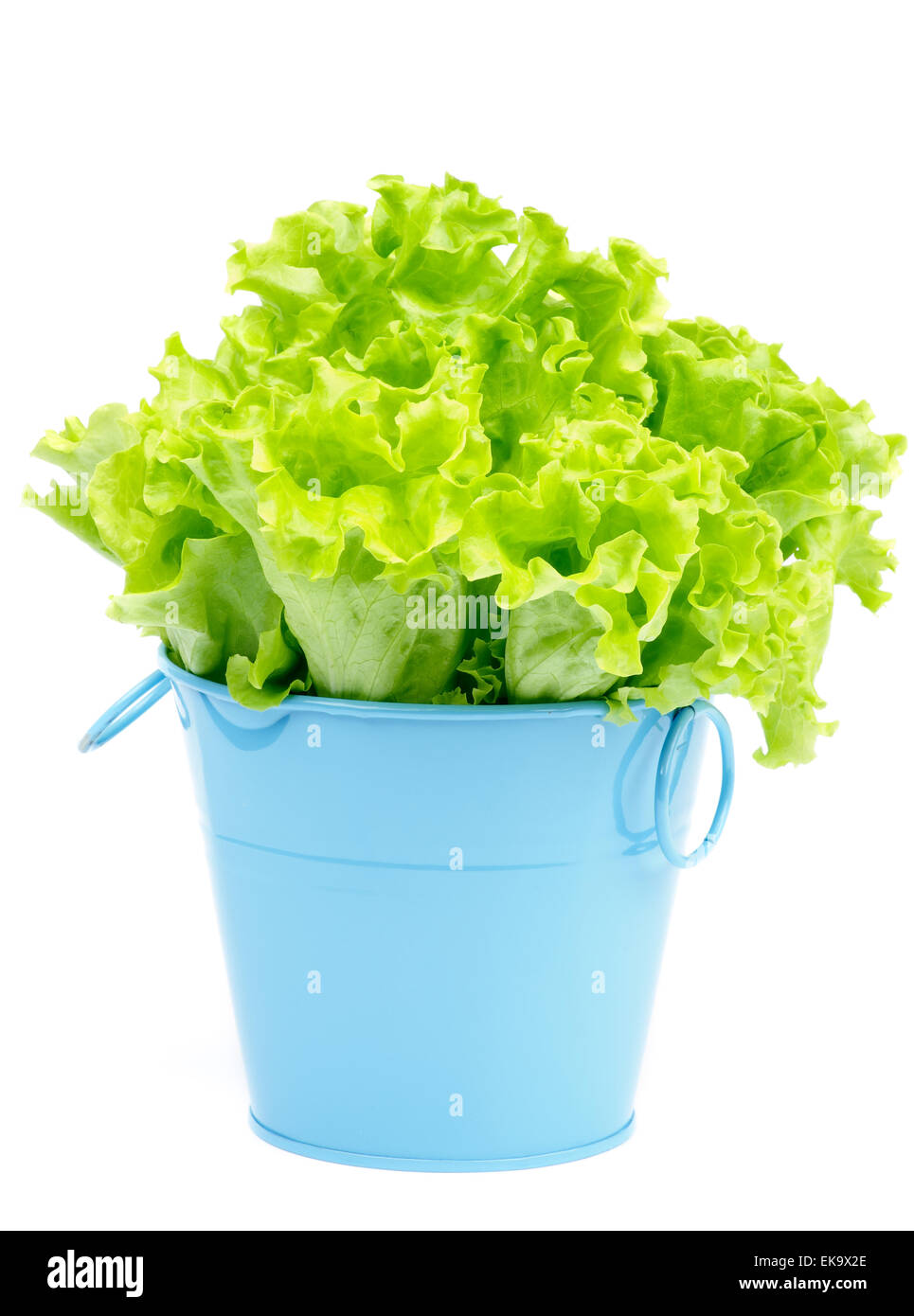 Blue and greens Cut Out Stock Images & Pictures - Alamy