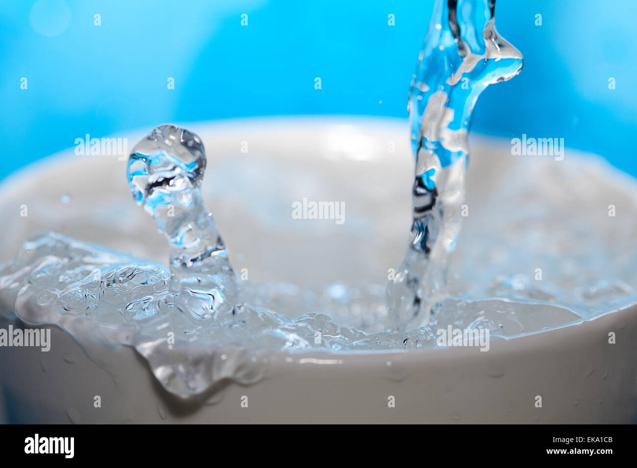 water splash in a cup on a blue background Stock Photo - Alamy