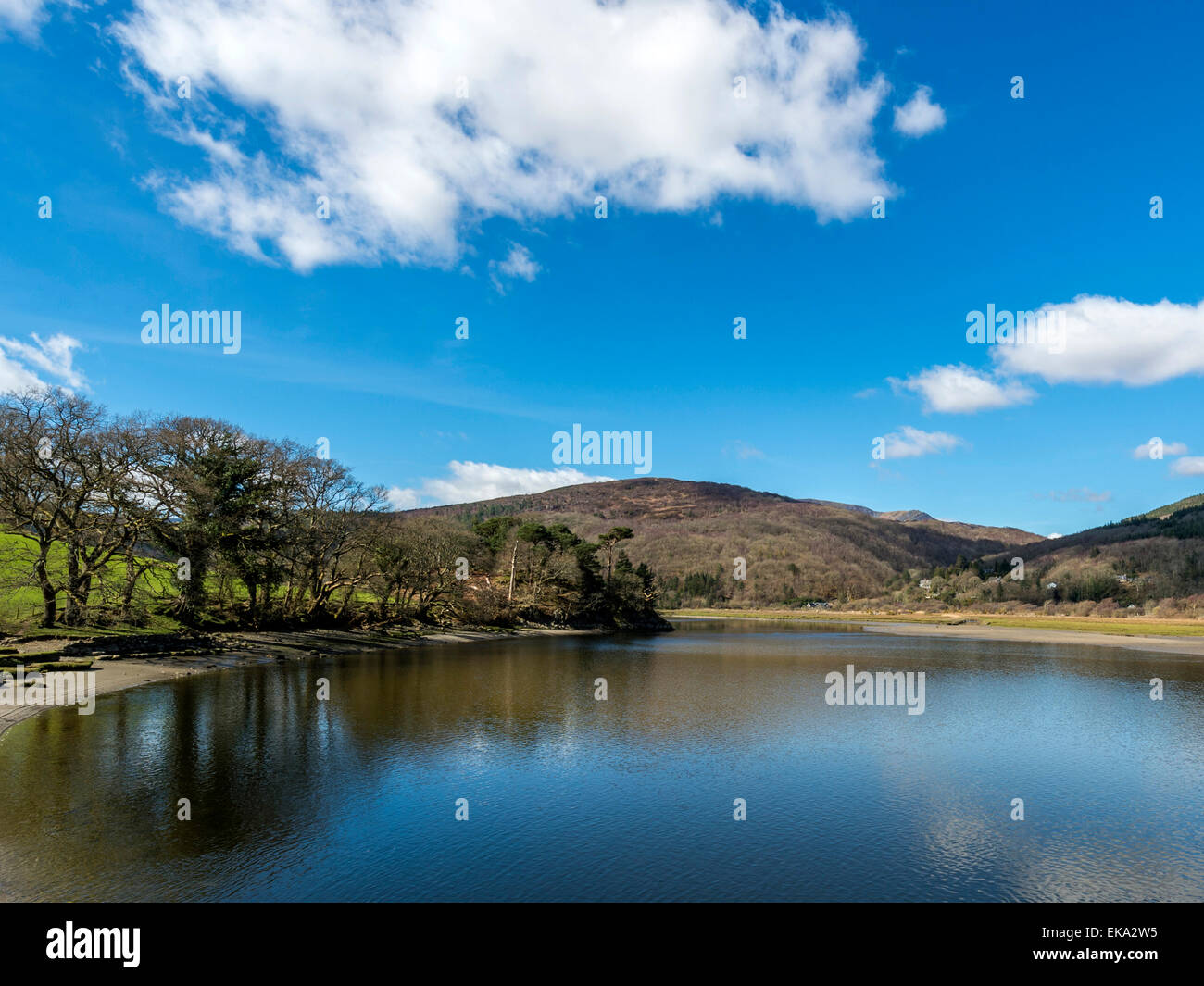 Mawddach trail spring hi-res stock photography and images - Alamy