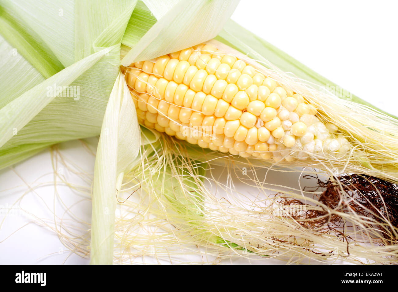 Fresh corn on the cob Stock Photo - Alamy