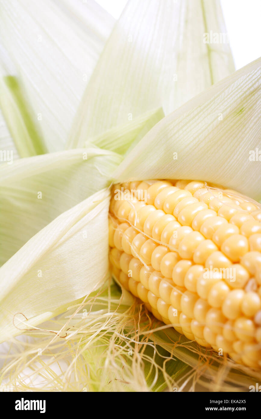 Fresh corn on the cob Stock Photo - Alamy