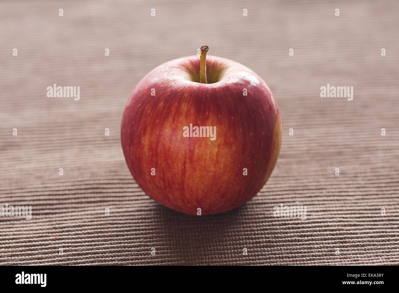 Dappled bright light hi-res stock photography and images - Alamy