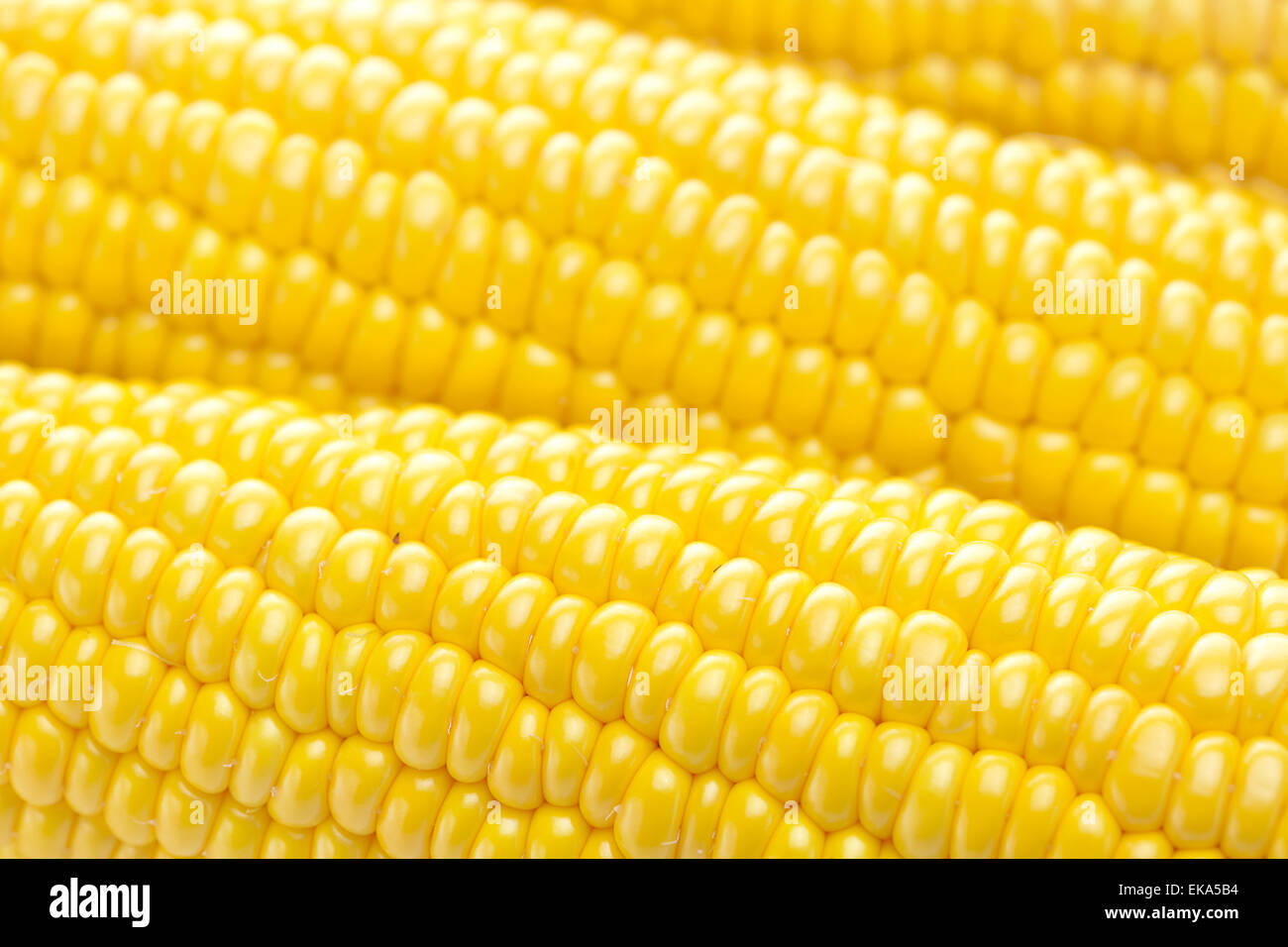 background of ripe yellow corn Stock Photo - Alamy