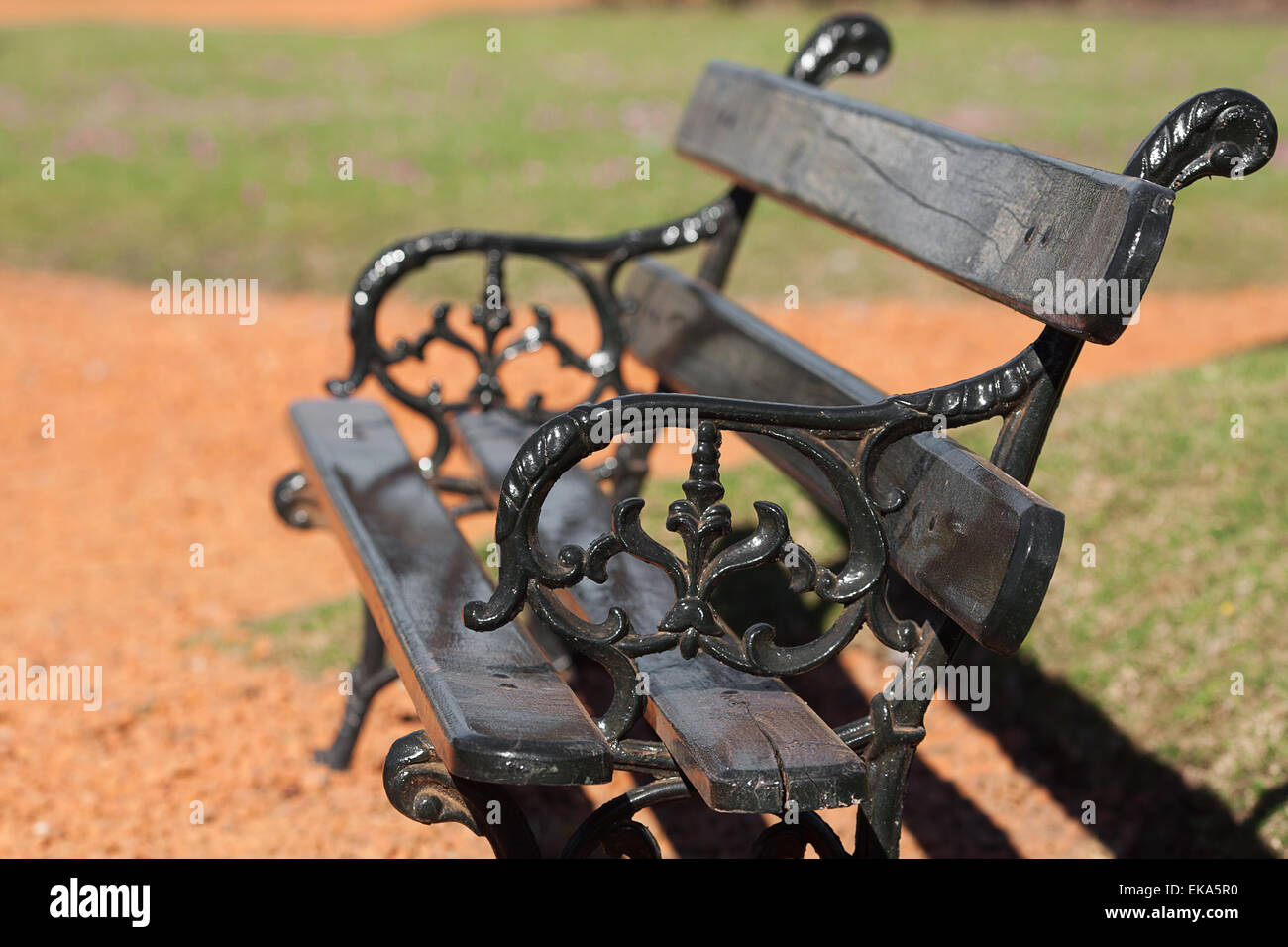lonely bench in the park on the grass background Stock Photo - Alamy