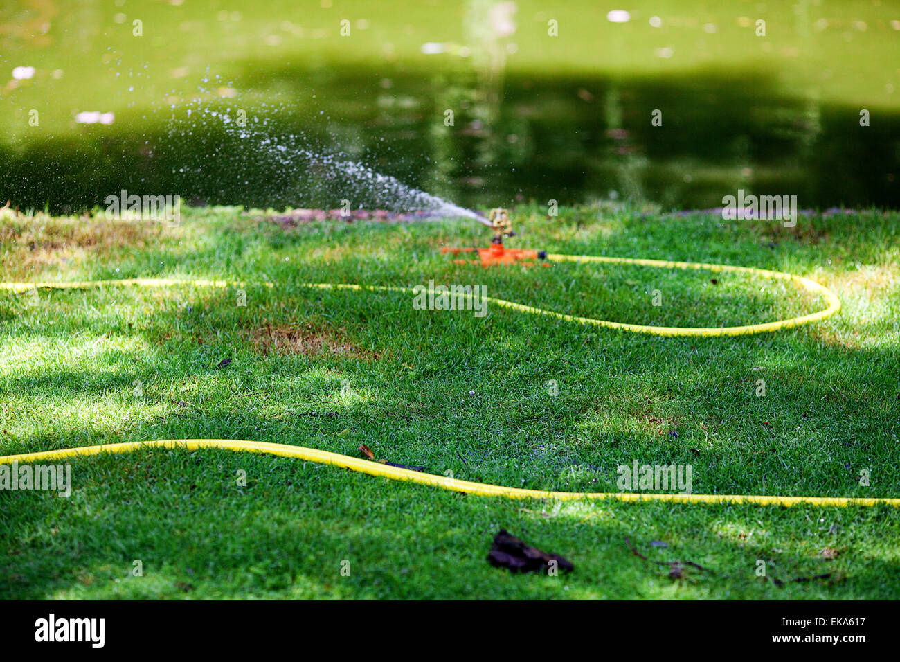 Garden hose background hi-res stock photography and images - Alamy
