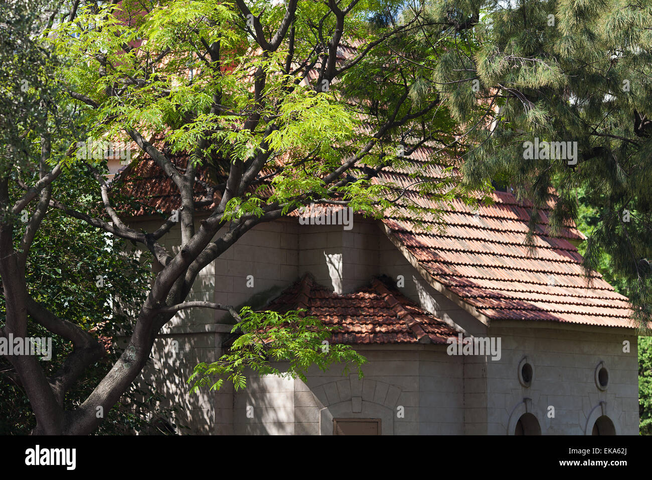 house with a tiled roof and green trees Stock Photo - Alamy